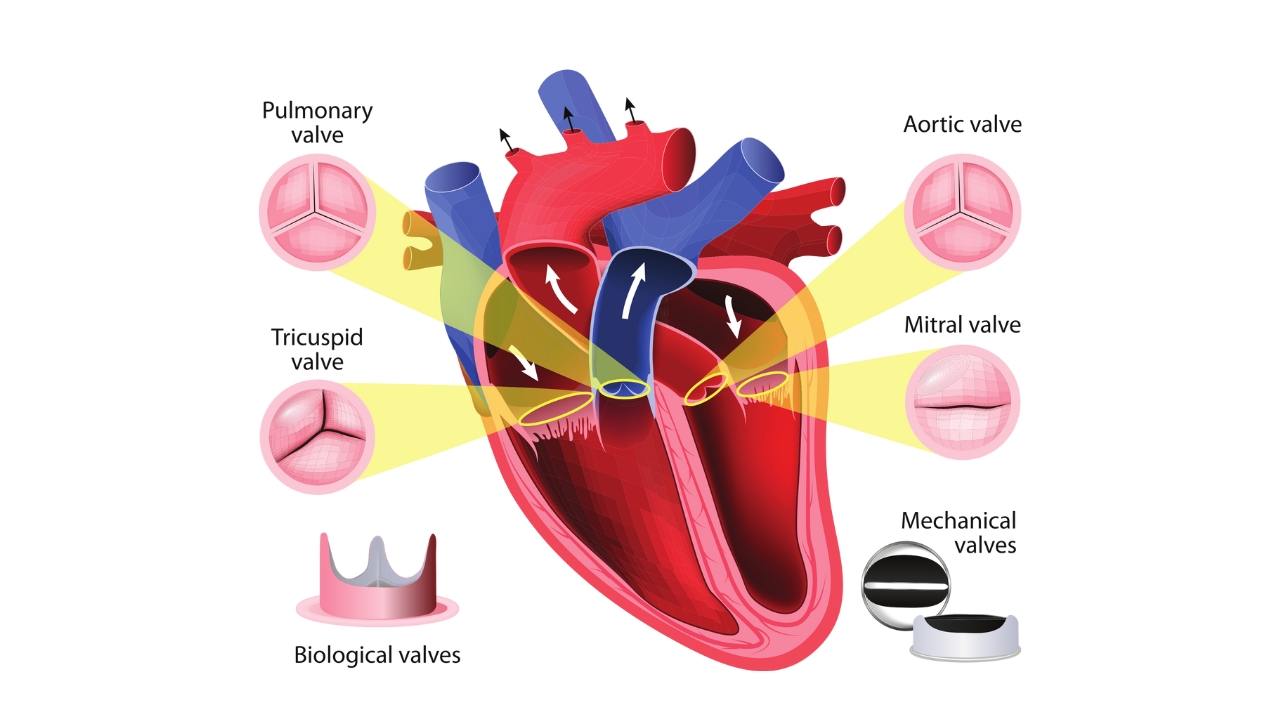 Dr. K Shanti Priya - Blogs